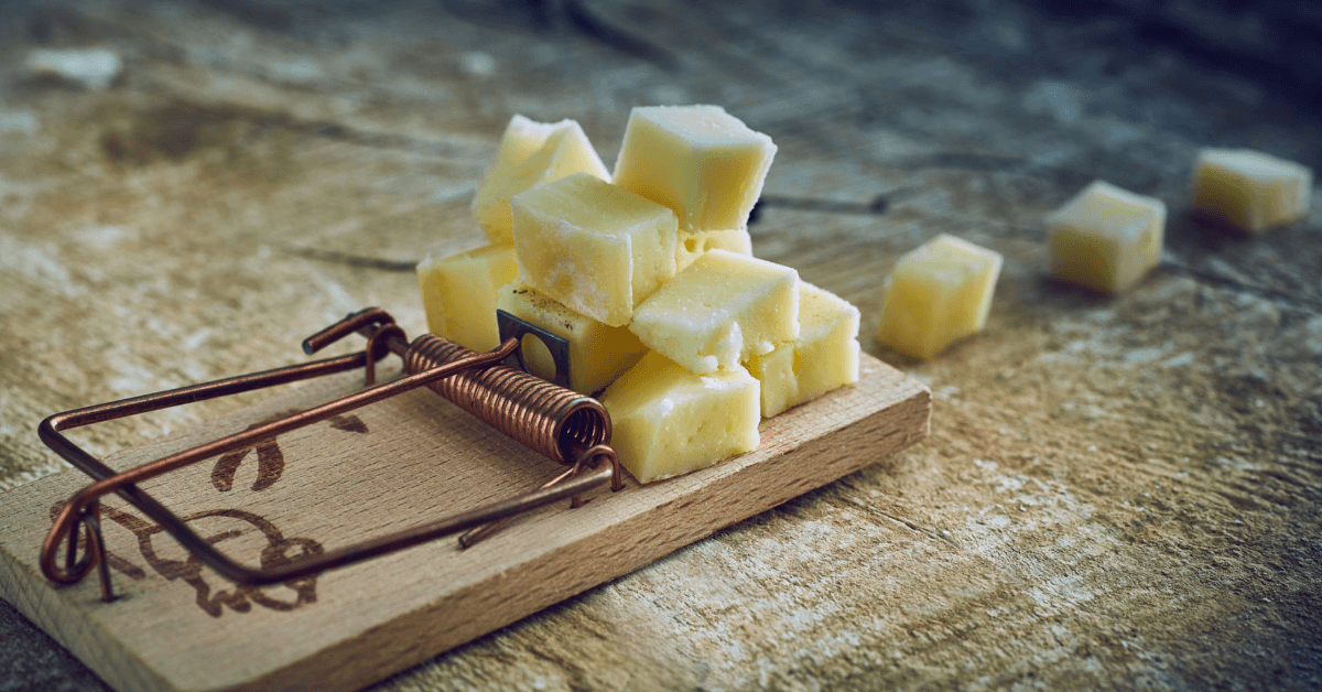 Spam Traps: What They Are And How To Avoid Them - Alterable